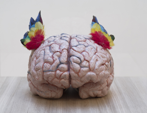 Angel Brain | TEMPLON