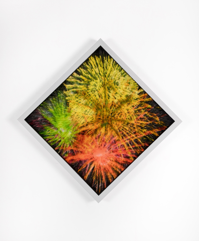 Shell Shock VI | TEMPLON